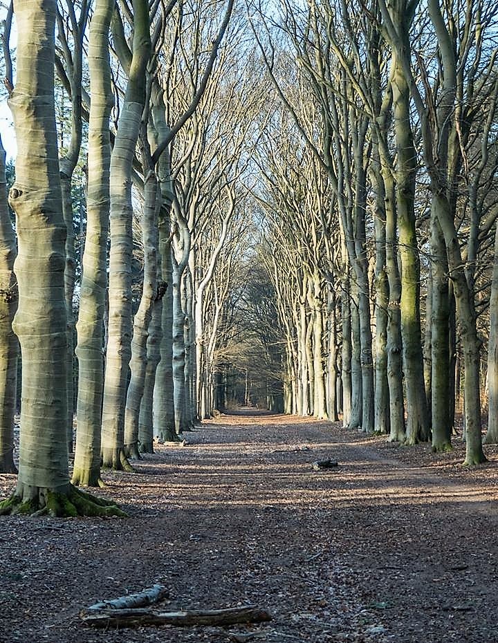 Mooiste Routes: Buiten Bussum (Bussum - Noord-Holland)