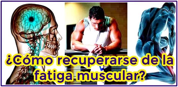 ¿Qué hacer para recuperarse de la fatiga muscular?