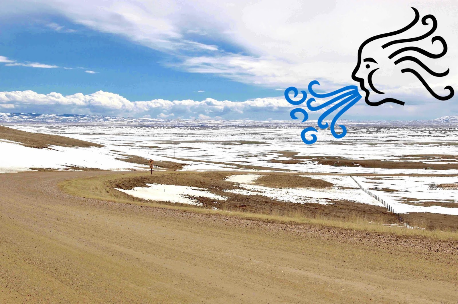 In the Company of Plants and Rocks: Big Hollow—an Exceptional Hole in ...