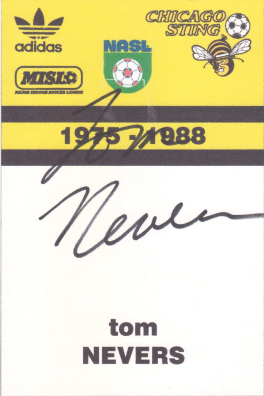 NORTH AMERICAN SOCCER LEAGUE: Chicago Sting