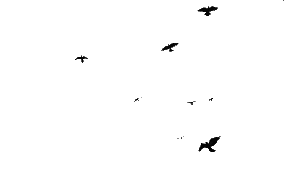 Loneguppy's Showcase: Set Design: Animating the Static Image