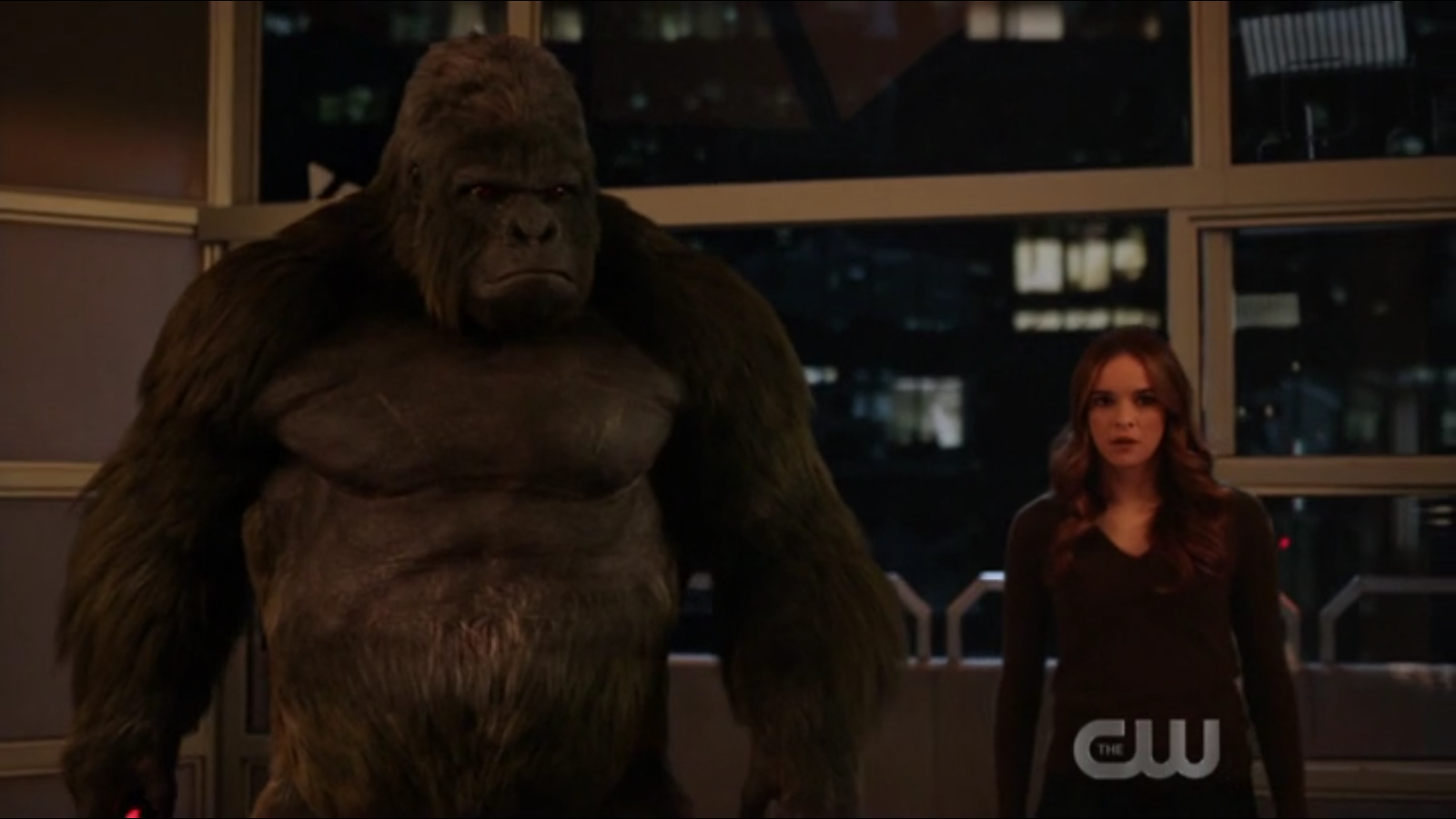 THE FLASH "KING SHARK VS. GORILLA GRODD" REVIEW
