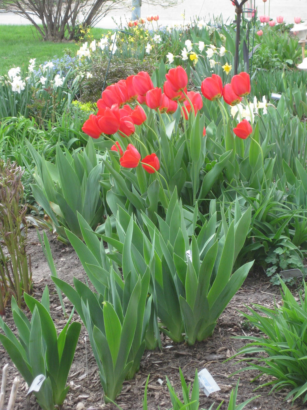 A New Chapter: Of flowers and floors