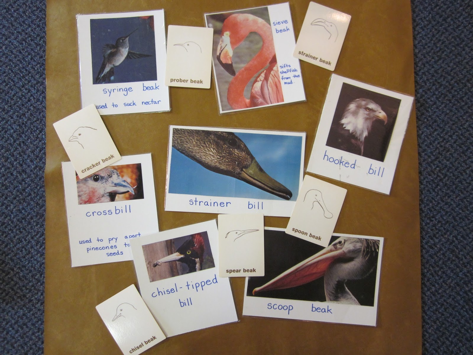 Inspired Montessori, Reggio Loose Parts, and Children's Art : Of Nests ...