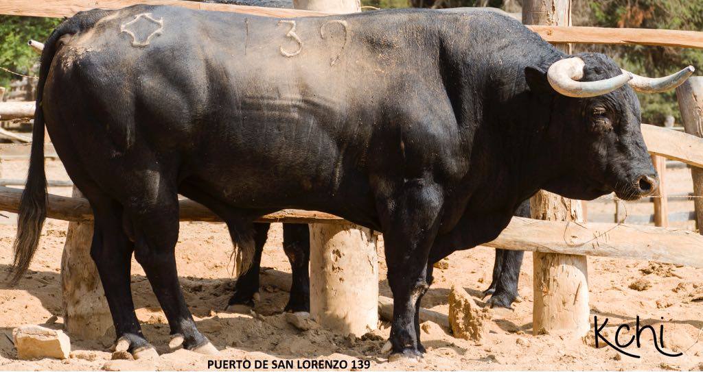 TAUROMAQUIAS - Primera bitácora taurina del Perú: Corrida de toros ...