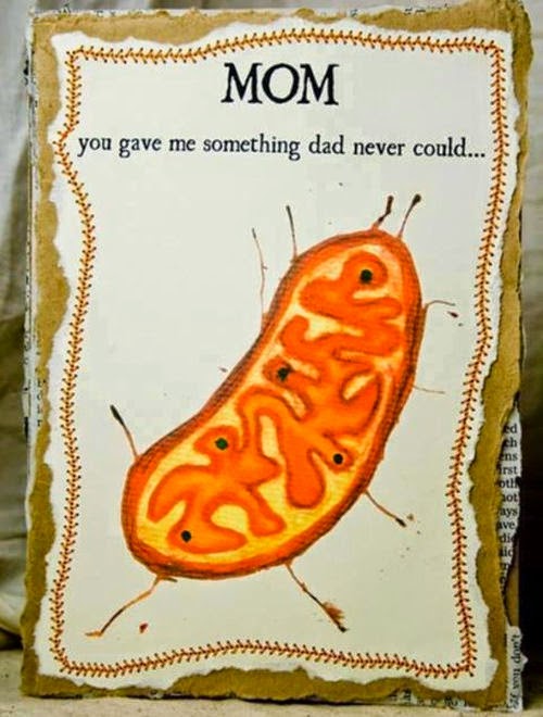 Medical Laboratory and Biomedical Science: Happy Mother’s Day