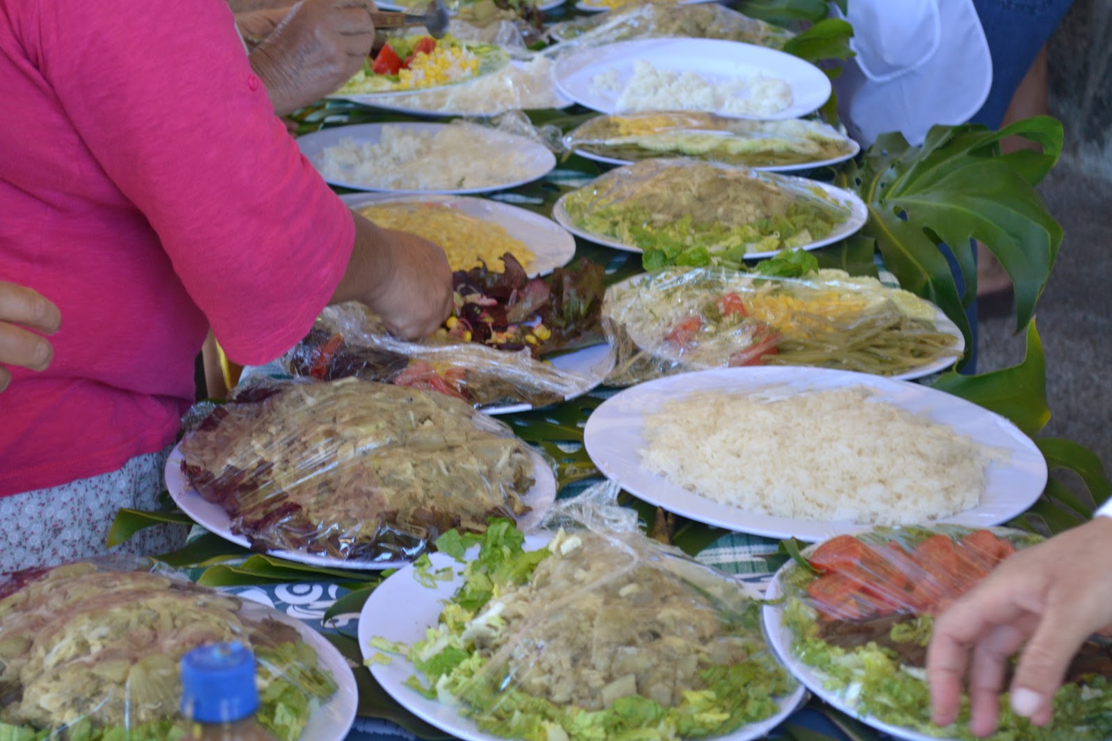 PANAMERICANA: FIESTA DE RAPA NUI