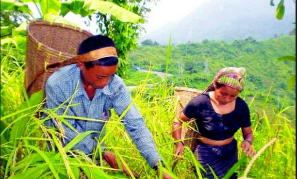 Lrb Travel Team | Journey For Your Dream