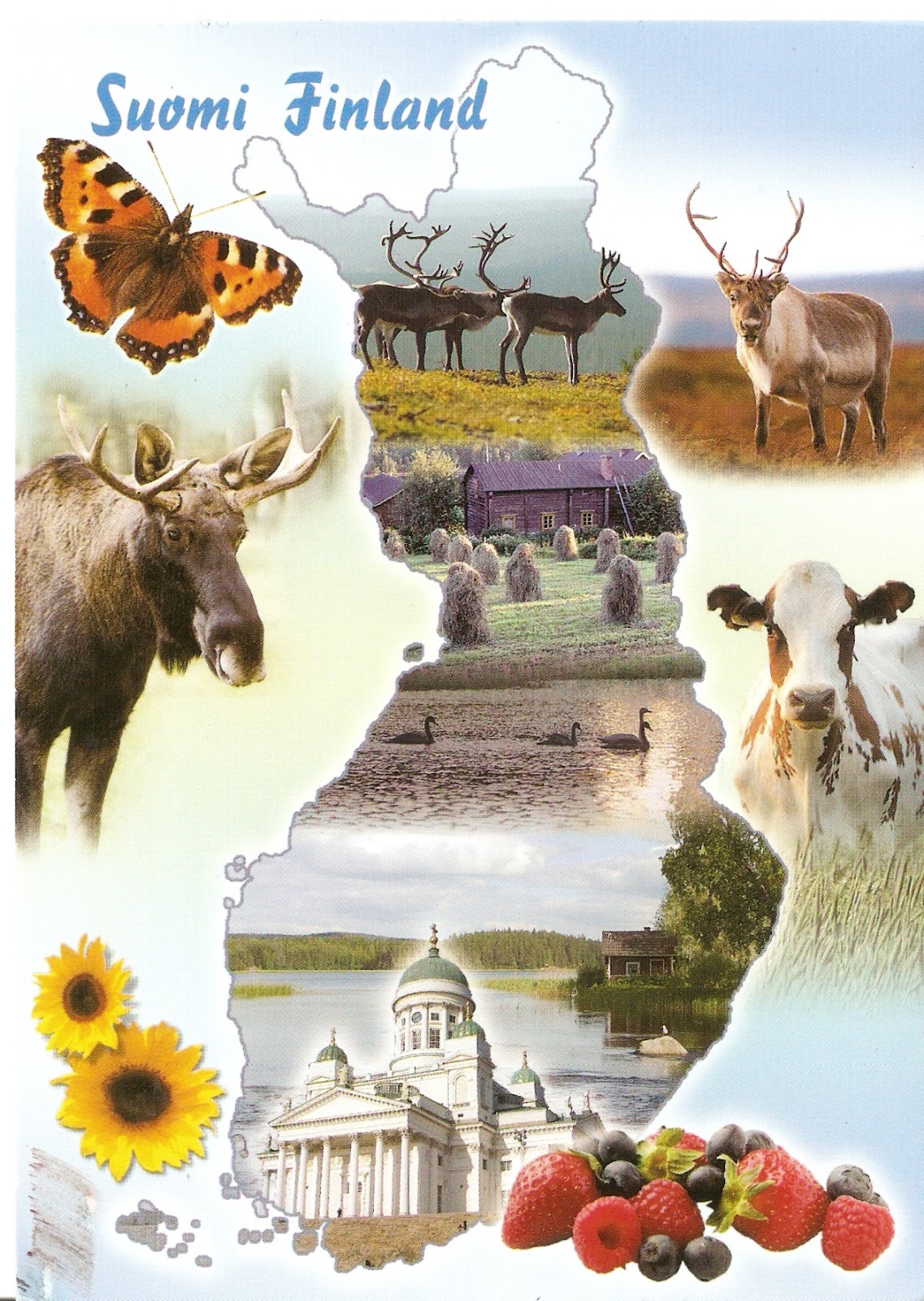 SwissCowgirl's postcards: Postcard from Finland
