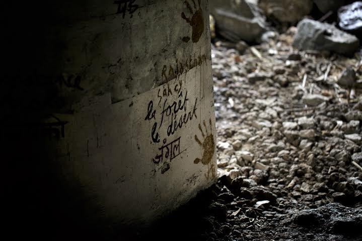 CHIMAN DANGI visual artist: khejri, for trees (Khejarli Chipko movement ...