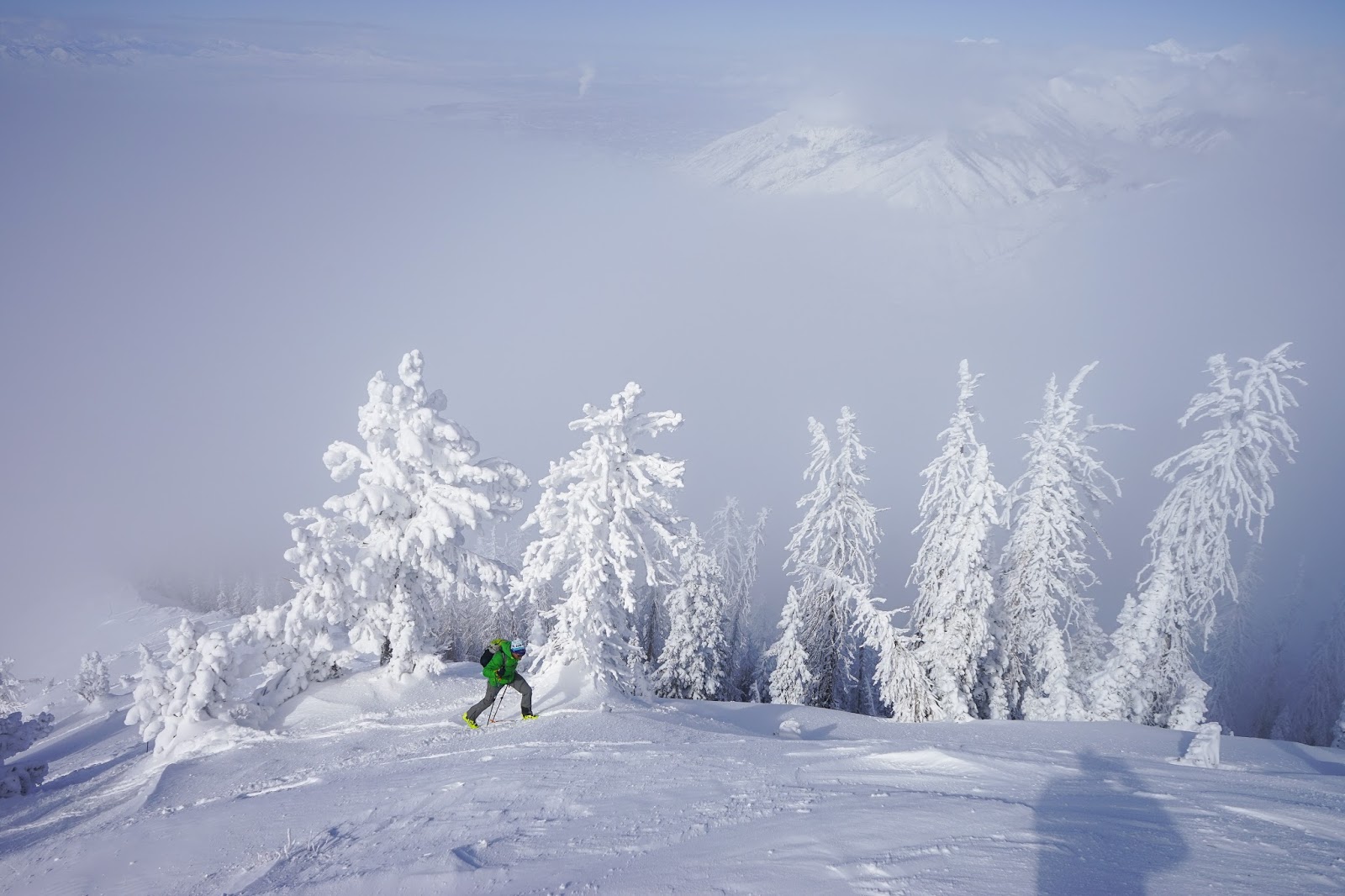 Andy Sherpa Spanish Snow andy-sherpa-spanish-snow