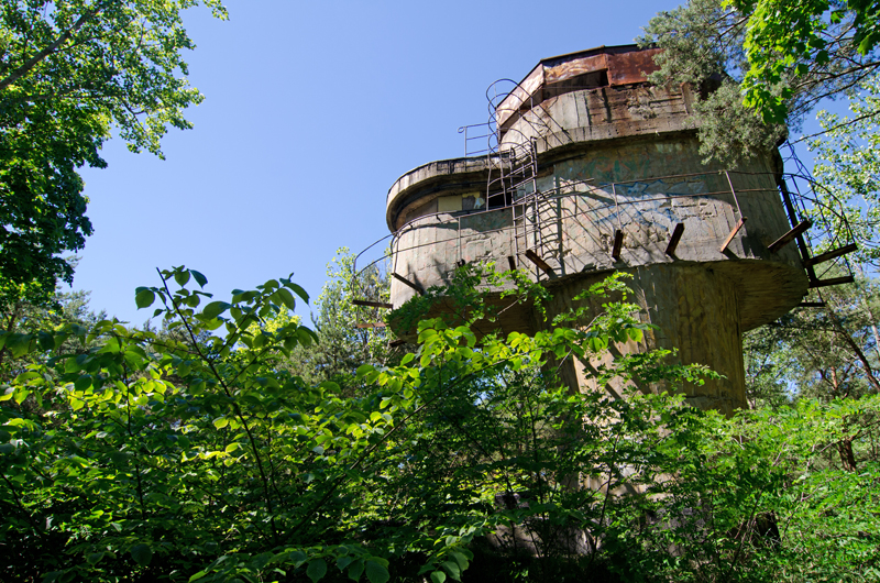 Líné tlapky: Gdaňsk