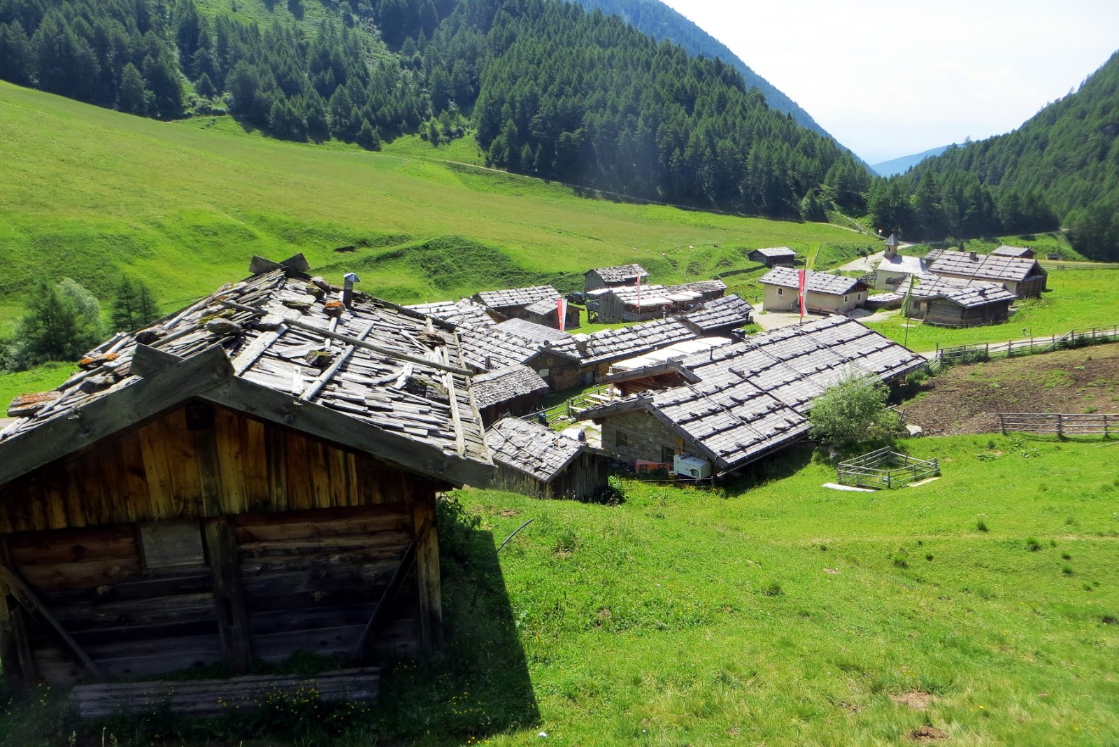 Malga Fane, la malga più bella dell'Alto Adige - Montagna di Viaggi