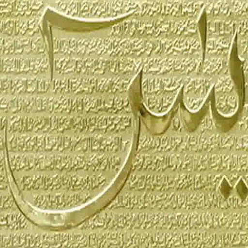Surah Yaseen - Read Holy Quran Online
