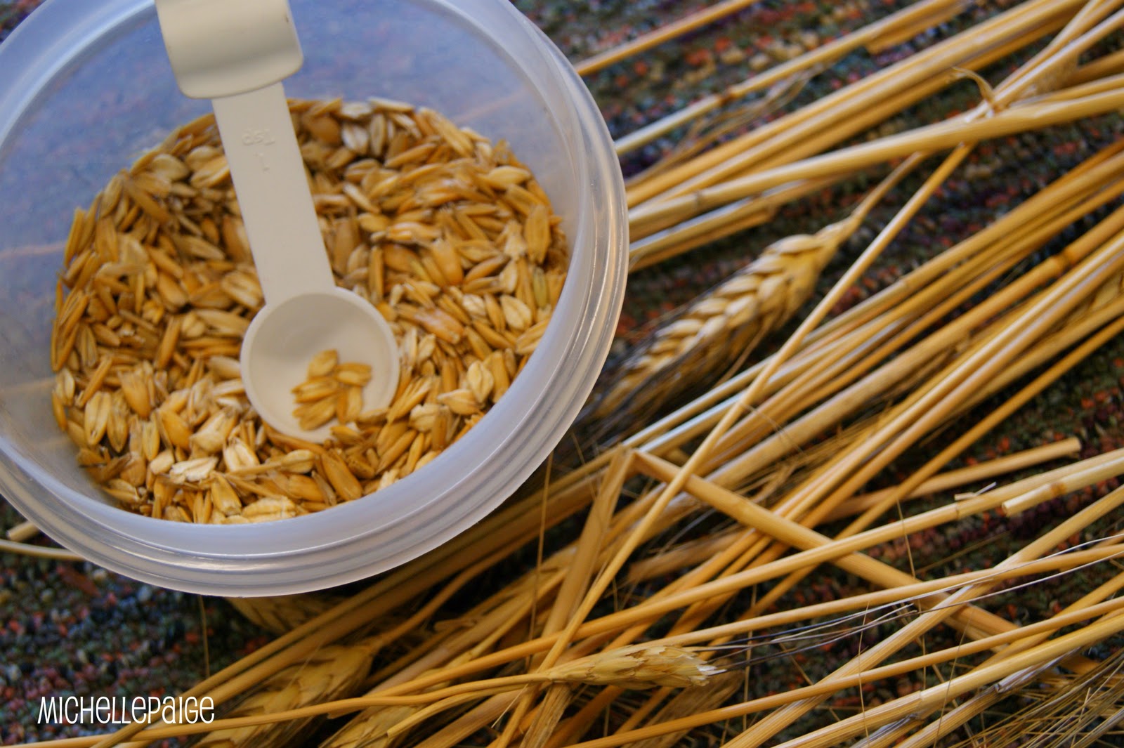 michelle paige blogs: Sunday School Craft for the Book of Ruth