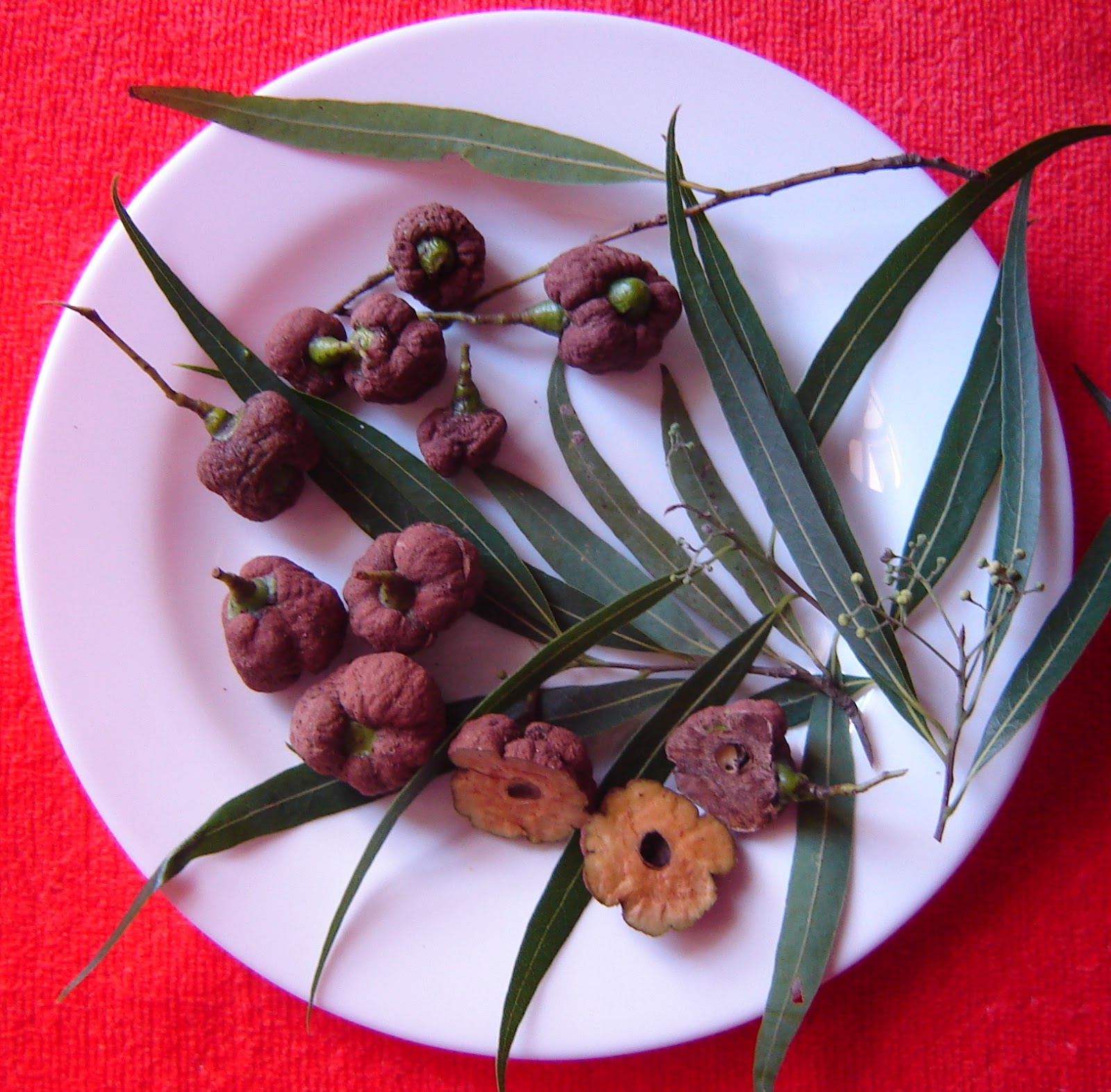 v e r d e c h a c o: Laurel