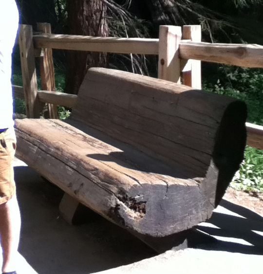 Domokur Camp Design: "Benching" Creativity