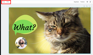 Design a short video clip with Canva