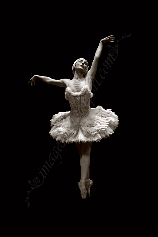 Ballet Fotos: Ballett Fotos - Ballerina