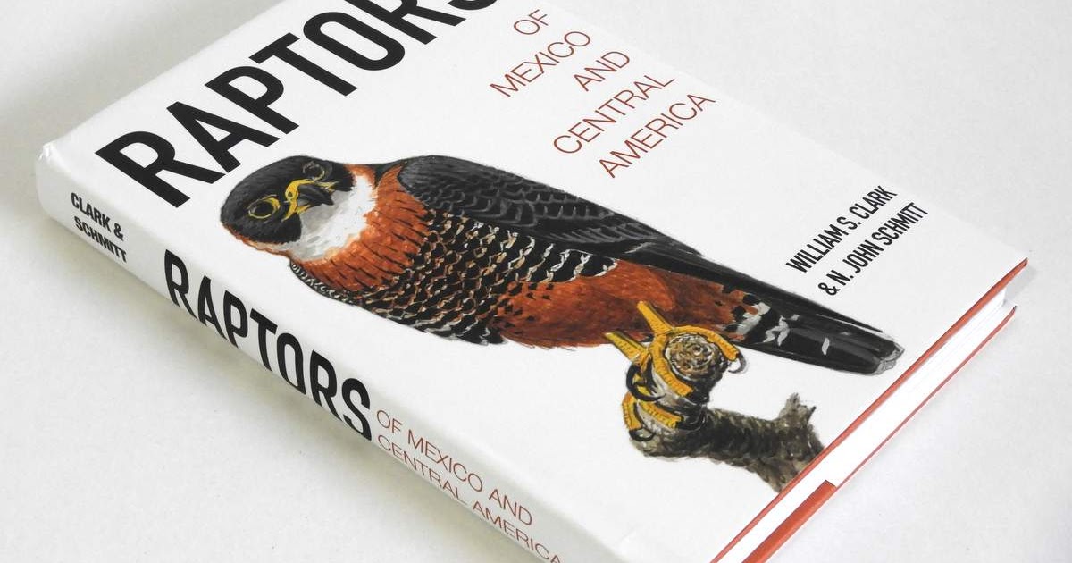 Book Review - Raptors of Mexico and Central America - Princeton ...