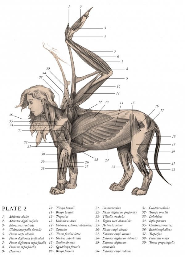 Ξωτικό: "The Resurrectionist" - Το Χαμένο Έργο του Δρ. Spencer Black