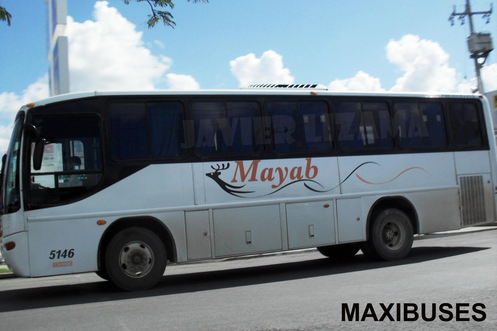 MAXIBUSES: AUTOBUSES MAYAB