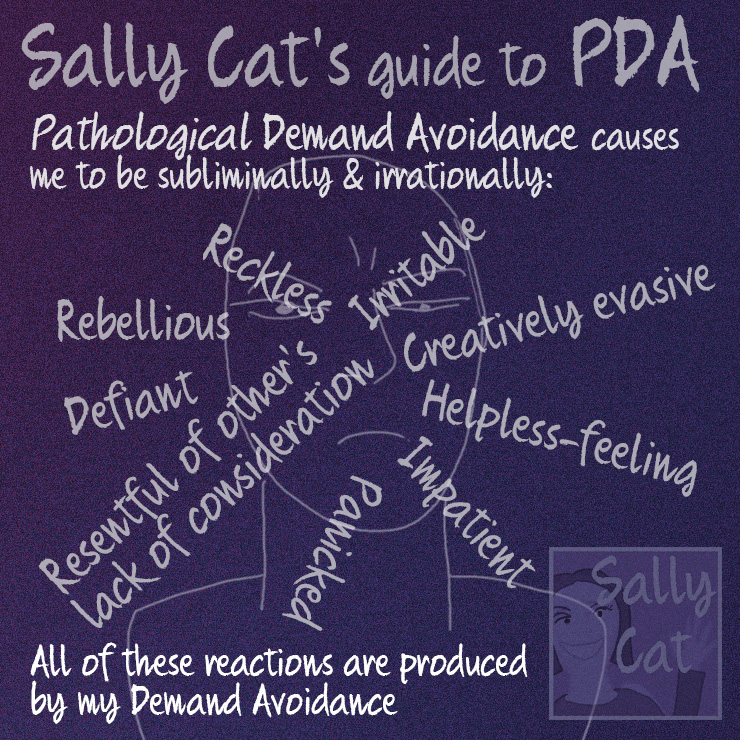 Sally Cat PDA: May 2018