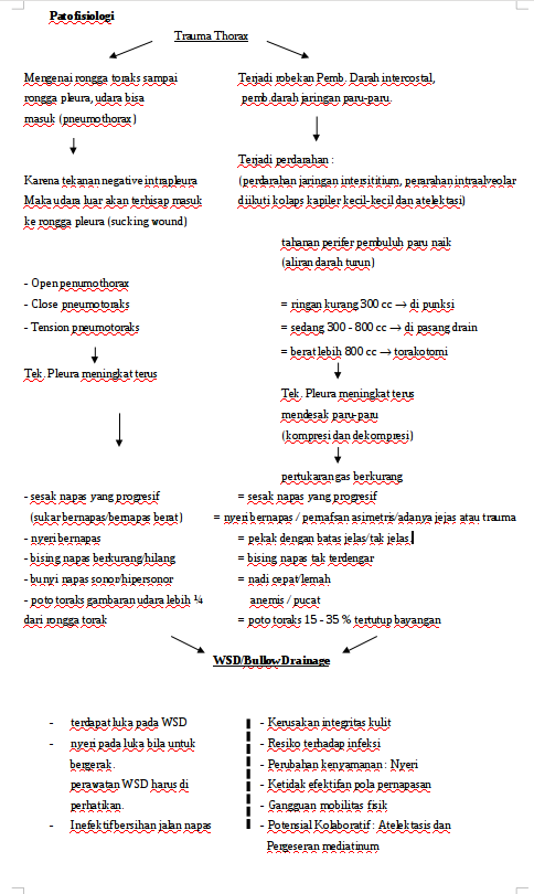 TRAUMA THORAX (PENUMOTHORAX/HEMATOTORAX) - askepdb.blogspot.com
