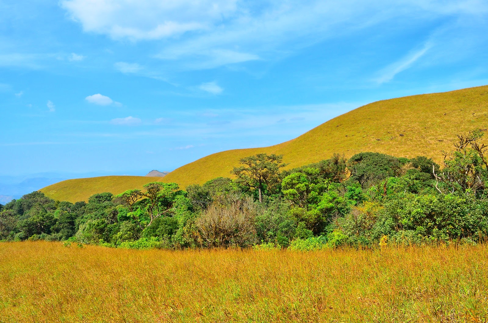 Sharath Hassan A Travelling Photographer: JENUKALLU GUDDA (JENUKAL ...