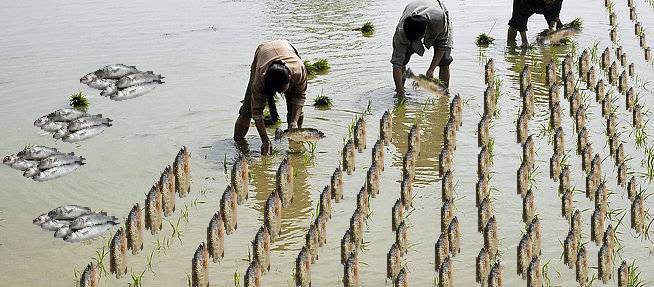 Angle Lake Shore Club: March 2012