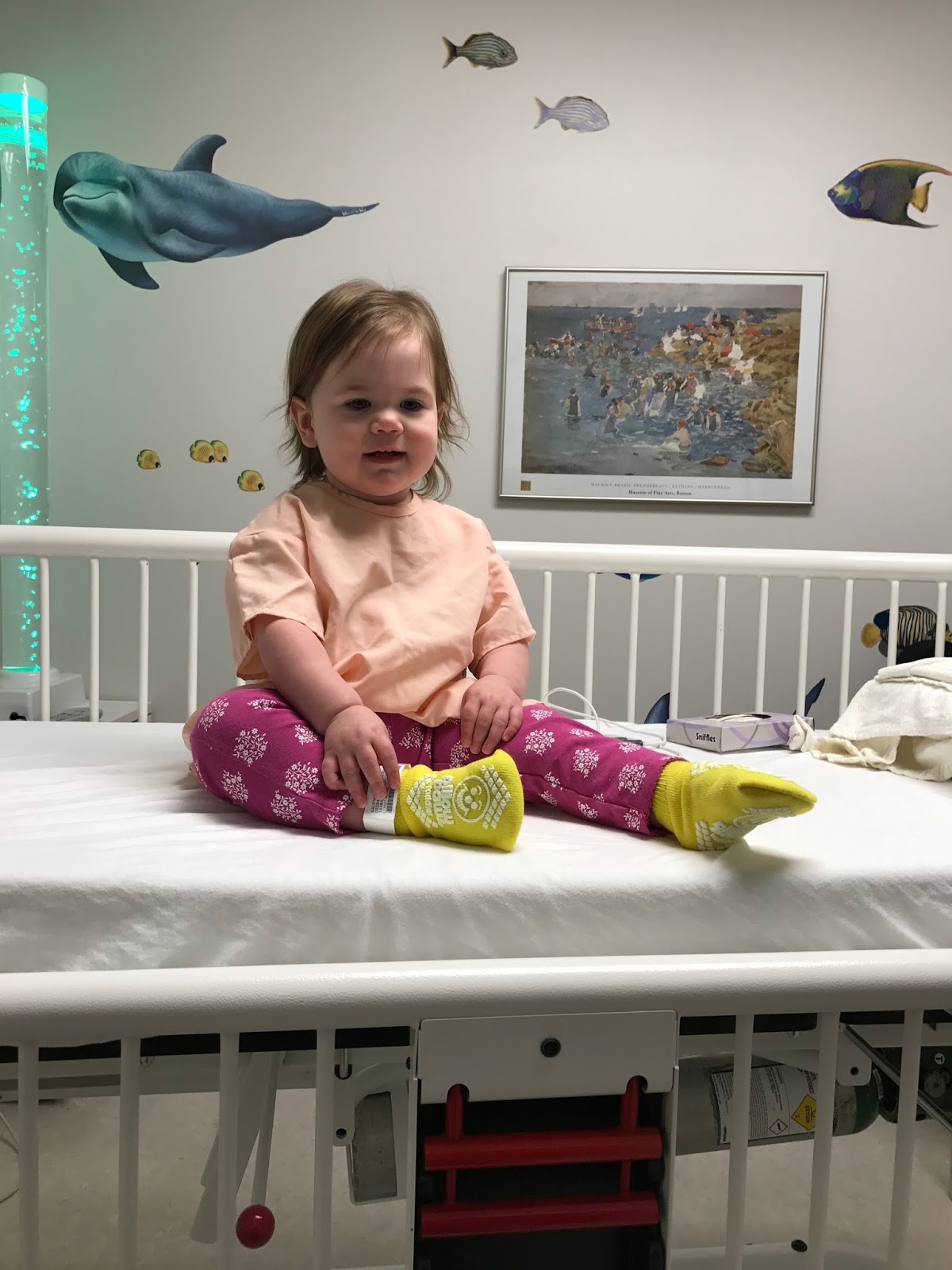 BABY KAUFMAN ADVENTURES