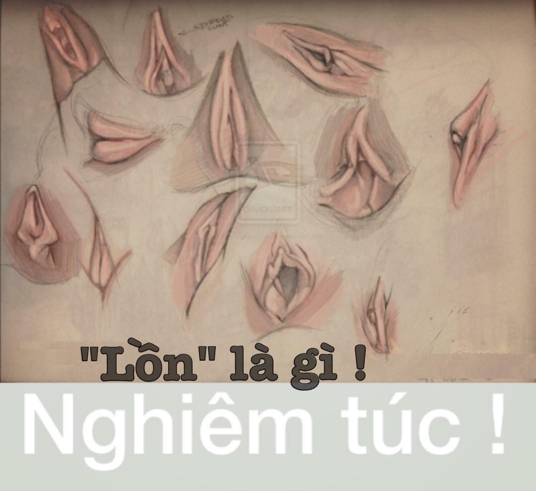 Lồn Là Gì