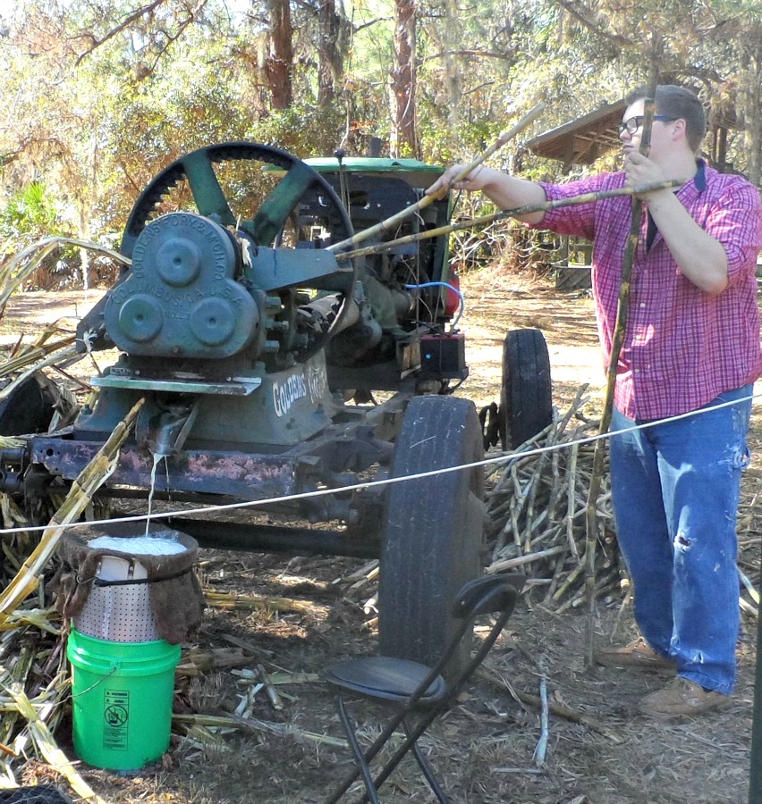 The Accidental RVers: Ortona Cane Grinding Festival