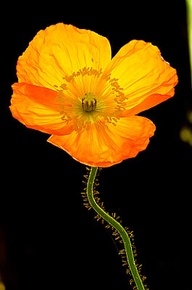 Out of this world 2: Andy Small - Fine Art Photography