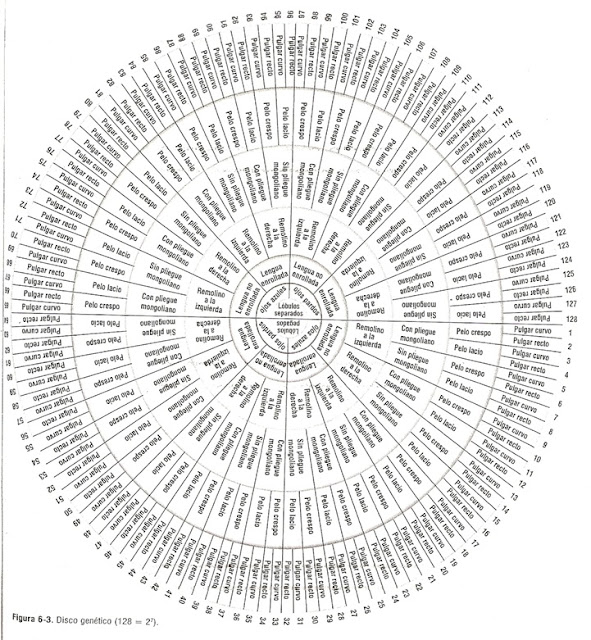 Aula Virtual Colegio Moralba-Ciencias: NOVENO