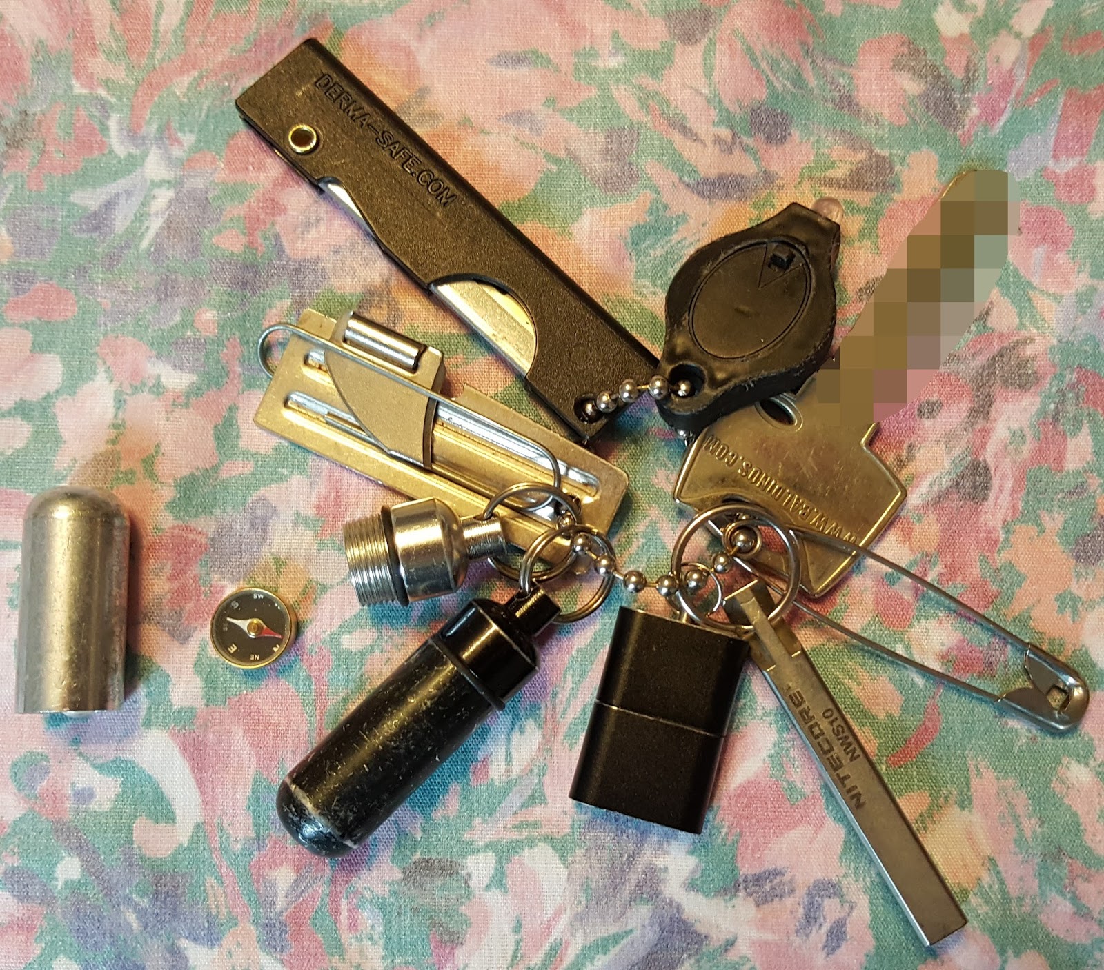 Ben's Journal: A Compass to Survive a Hostile Environment: My Front ...