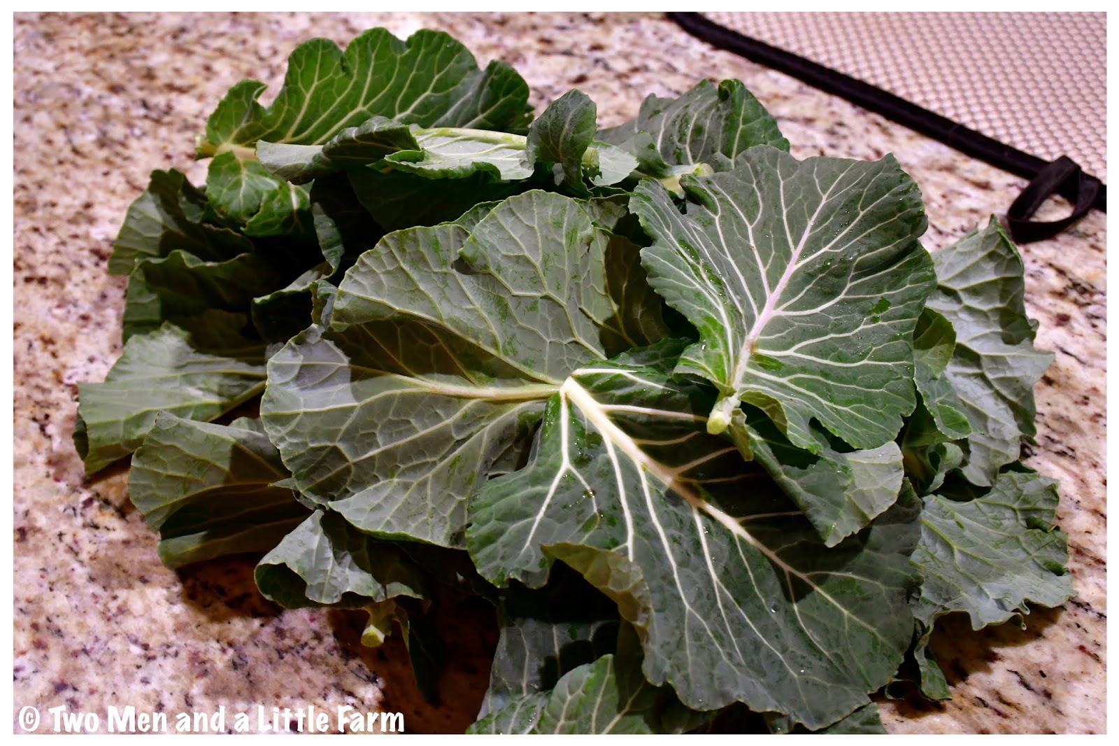 Two Men and a Little Farm: CREAMED COLLARD GREENS RECIPE