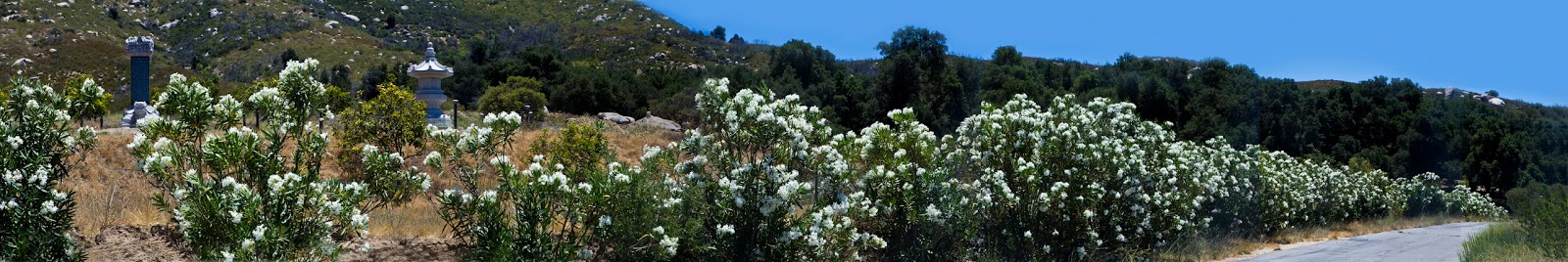 USA Diamond Zen Center