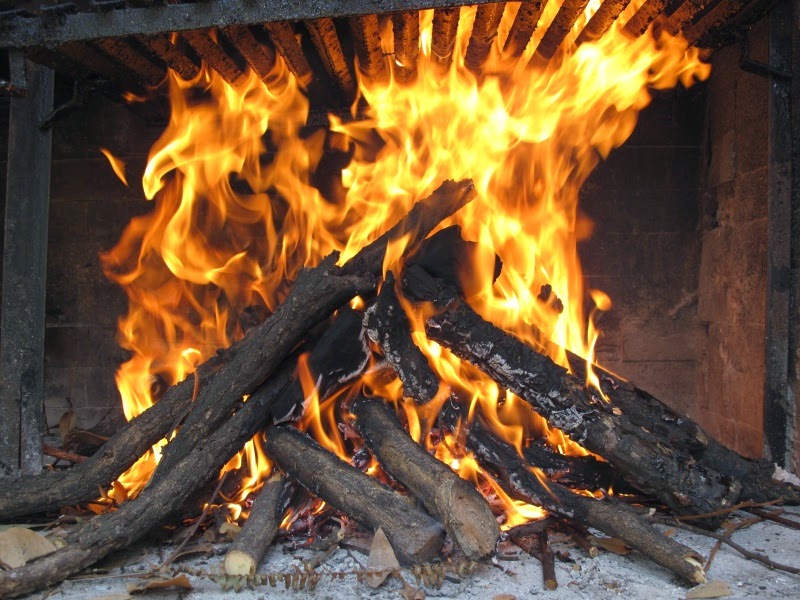 Historia Civilización y Cultura: Importancia del fuego en la evolución ...