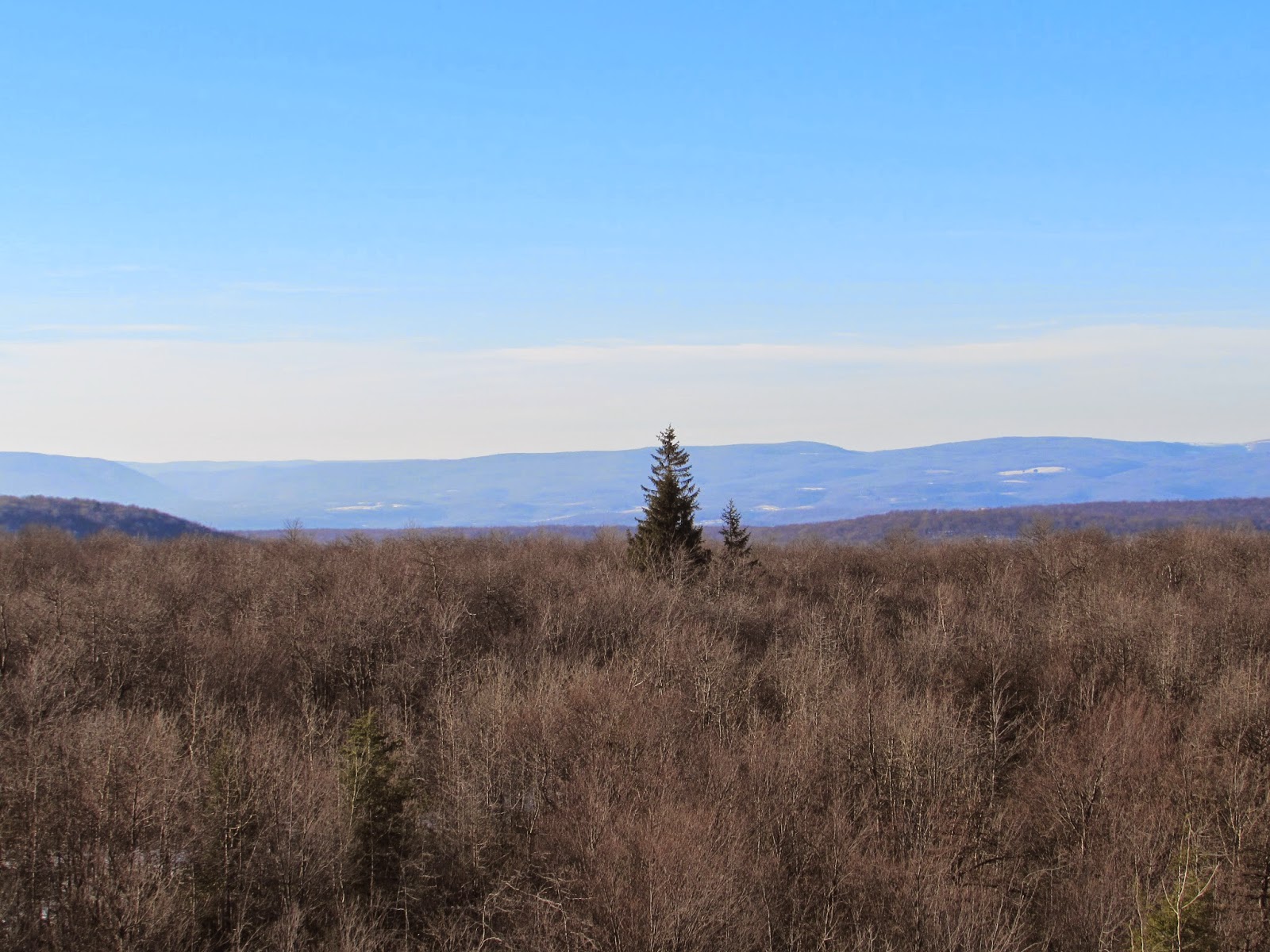 Mt. Davis: Tallest Mountain in Pennsylvania, Somerset County ...