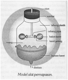 Media Pembelajaran dan Alat Peraga Dalam Pembelajaran IPA SD