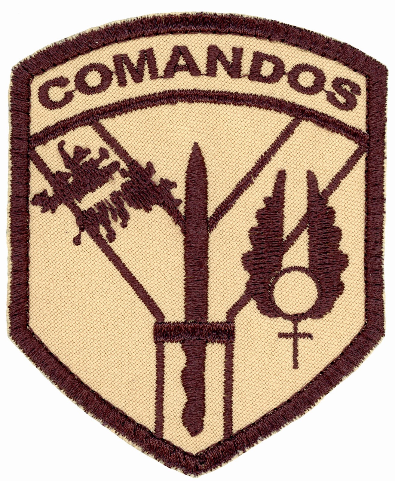Parches de las Fuerzas Armadas Argentinas: Compañía de Comandos 601 y ...