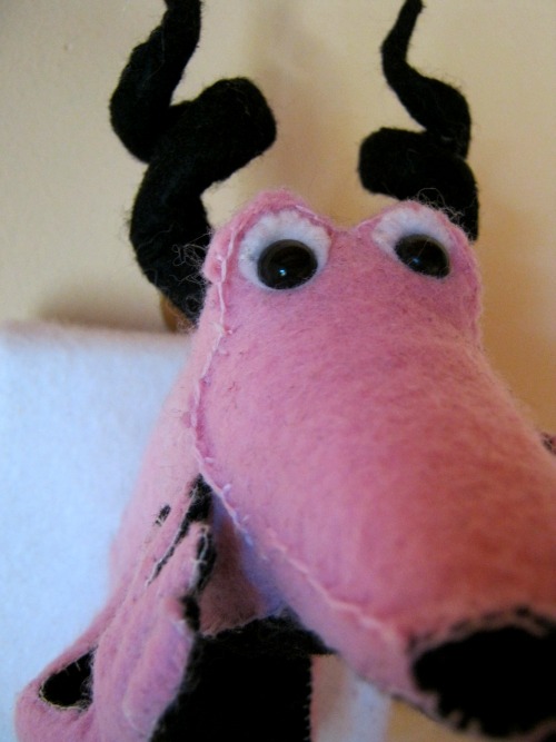 Creative Animalia Daily: Photos of Pinky Popkle