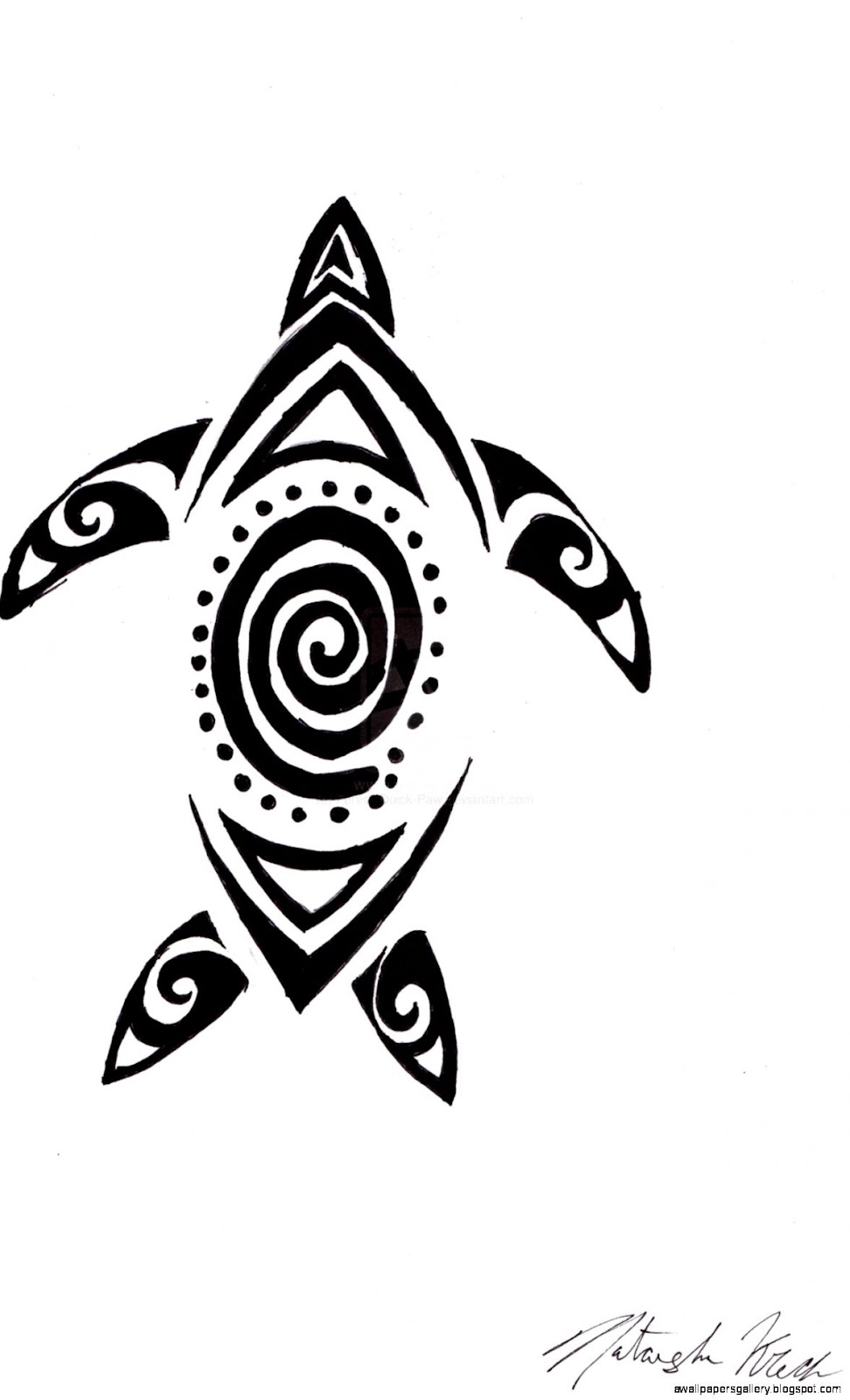 Tribal Sea Turtle Drawing | Wallpapers Gallery