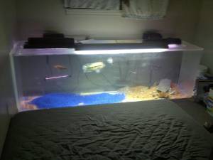 Giant Aquariums: 300 gallon acrylic aquarium - $1000 (farmington hills)