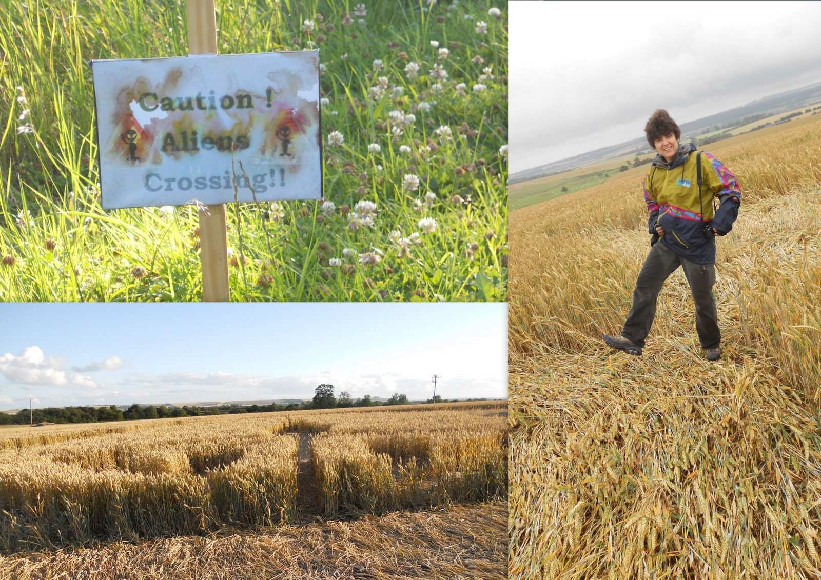 el rinoceronte de cristal: AGROGRAMAS - Crop circles