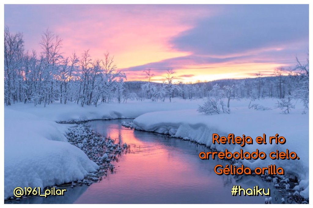 Versos a flor de piel: REGLAS PARA EL HAIKU (TRADICIONAL)