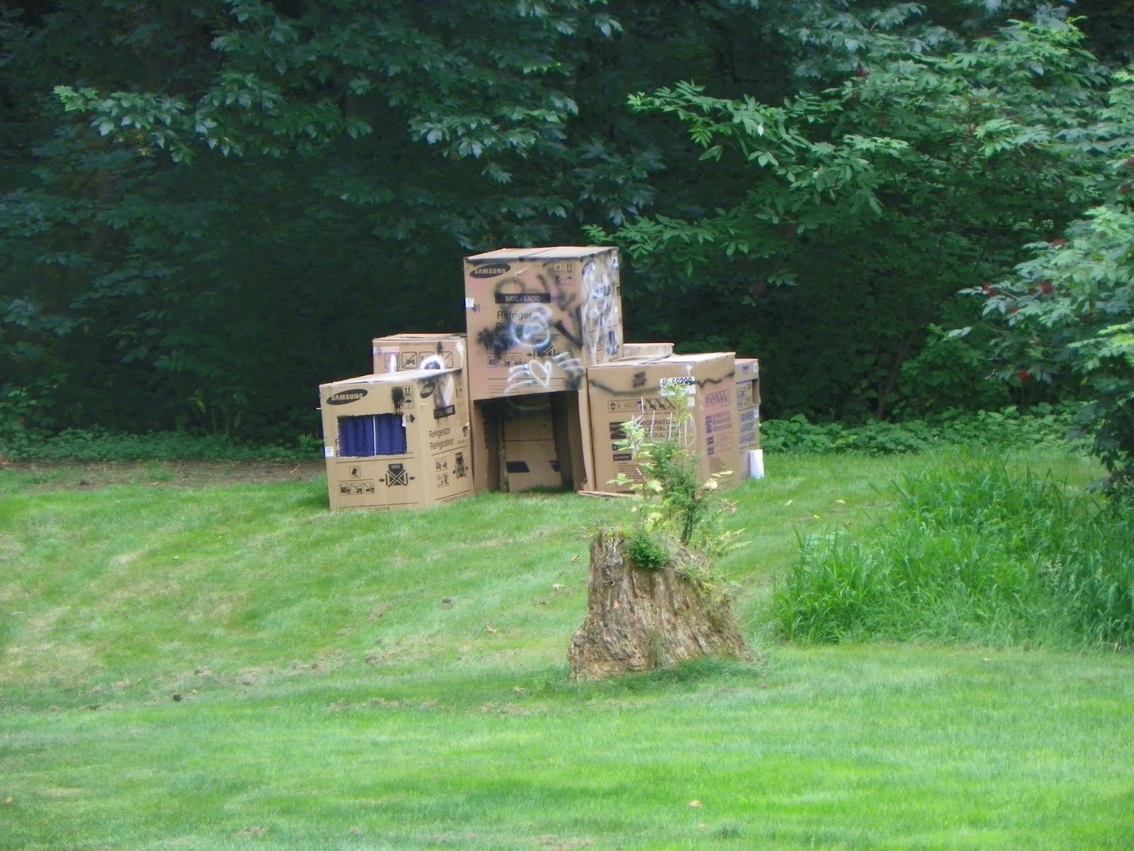 Chaotic Bliss: Summer Cardboard Box Forts