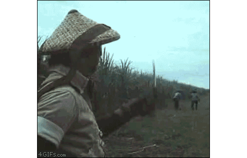 vavelhaber: ARMY and MILITARY funny / fail gif animation 7 (gif) ΑΣΤΕΙΑ ...
