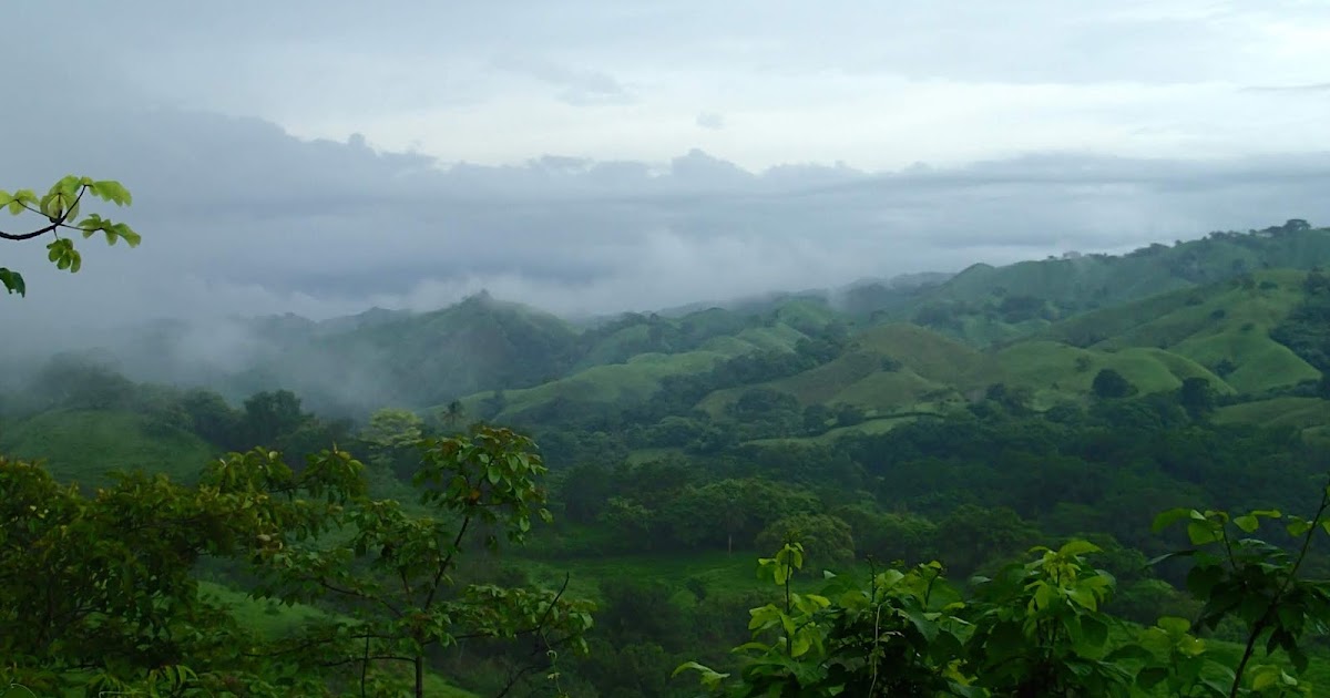 Los bosques de Panamá: Los bosques de Panamá